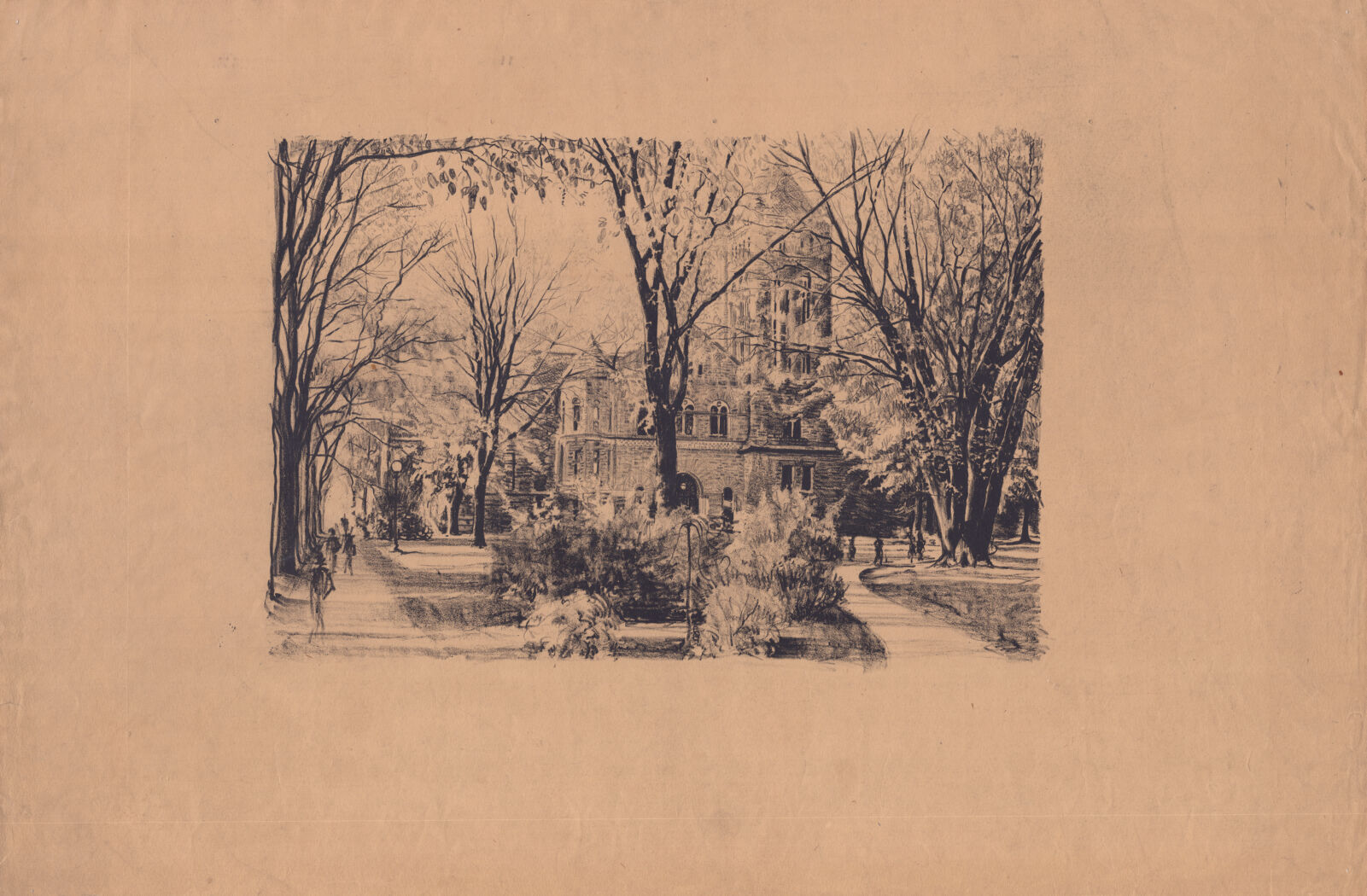 Library [Altgeld Hall] | Digital Collections at the University of ...