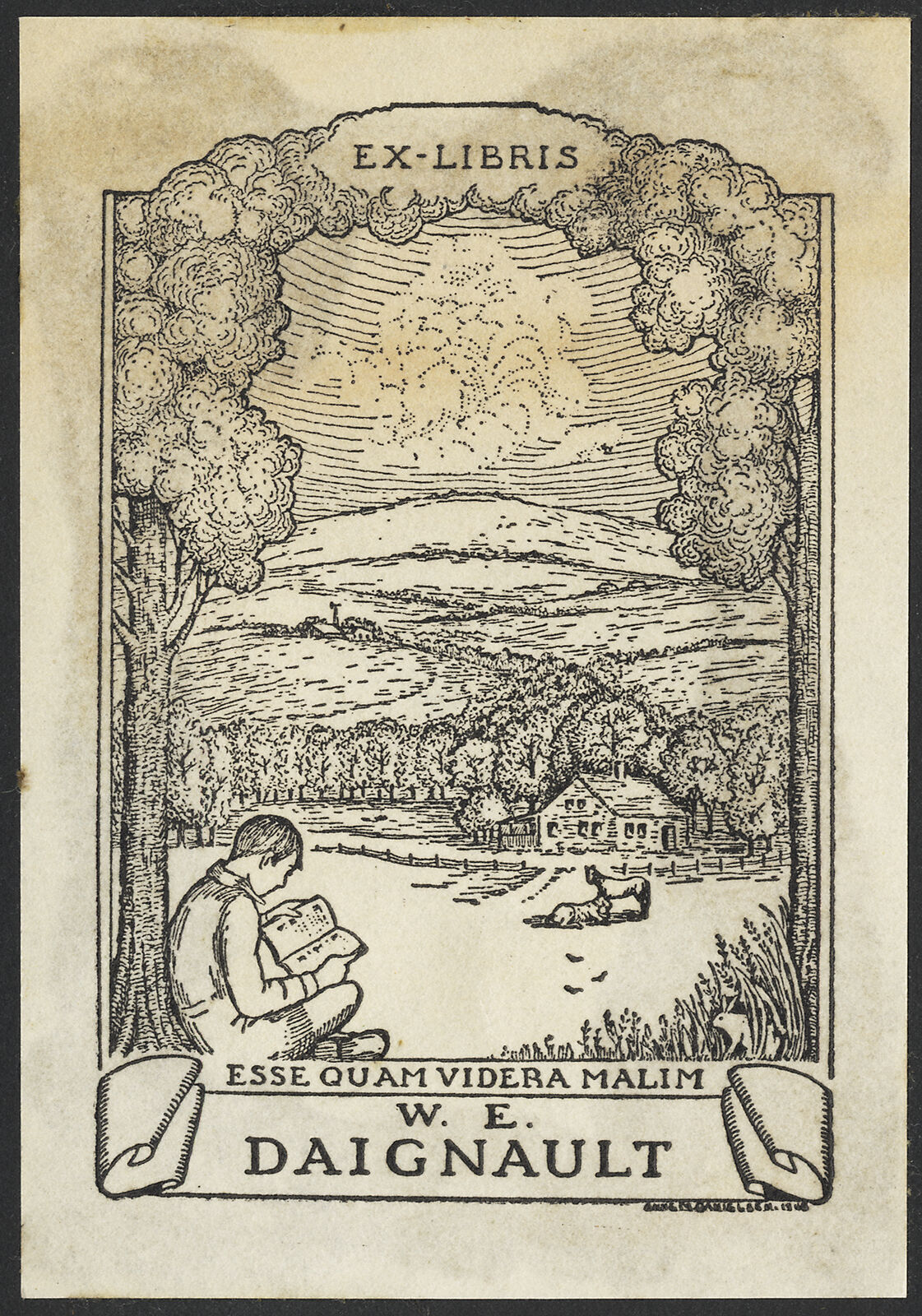 Daignault, W. E. | Digital Collections at the University of Illinois at Urbana-Champaign Library