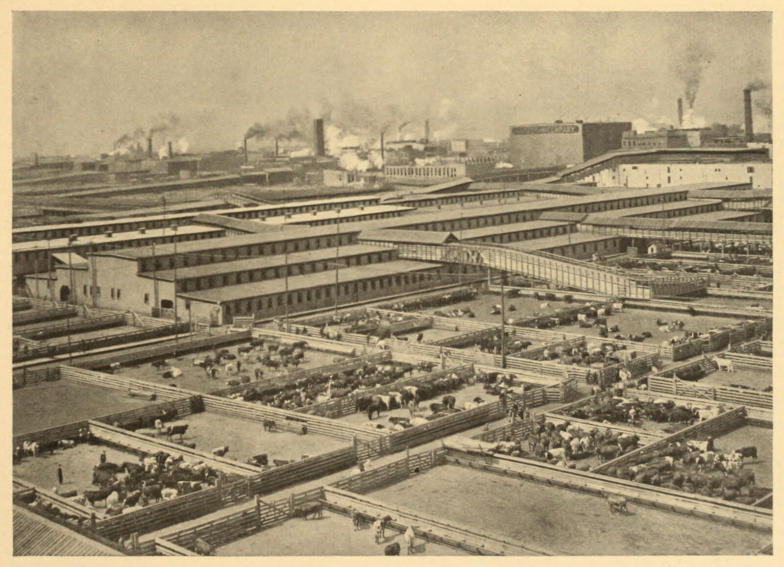 Stock yards and Packingtown | Digital Collections at the University of ...